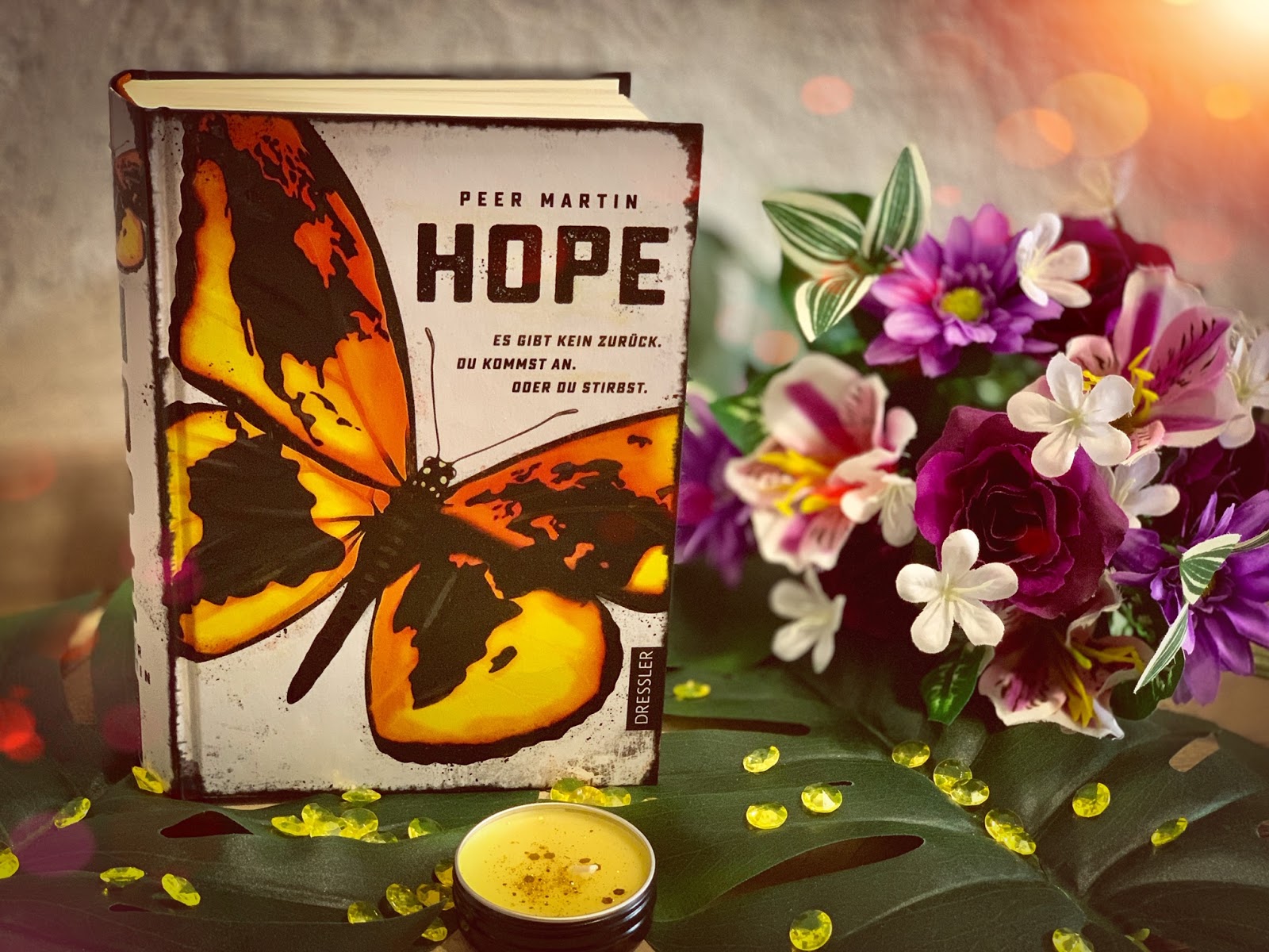 Buchfee - Dystopie, Fantasy und mehr: Rezension: "Hope" von Peer Martin