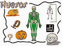 APRENDEN JUGANDO STJ: El esqueleto: Juego