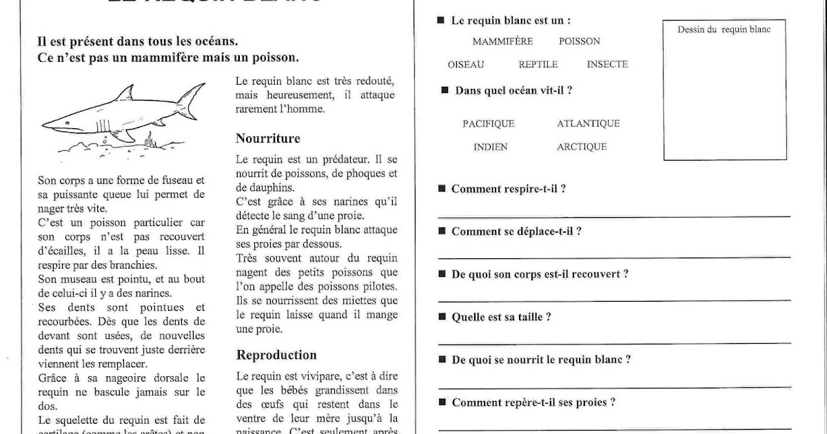 CE2 CM1 École Saint Aubin: jeudi 28 mai