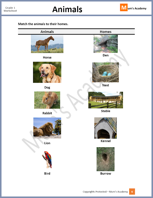 Grade 1 - Worksheet - Animals - Mum's Academy
