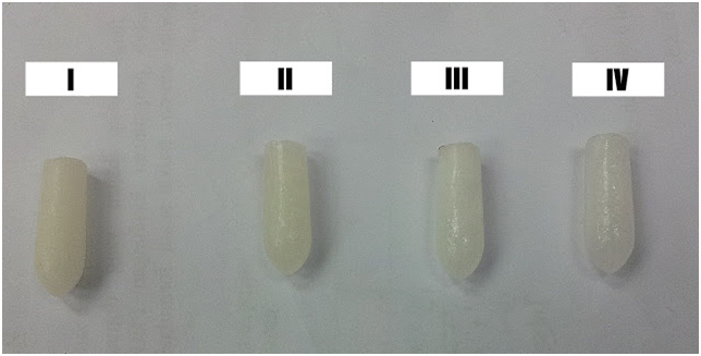 TECHNOLOGY PHARMACEUTICAL II LAB REPORT :): SUPPOSITORY