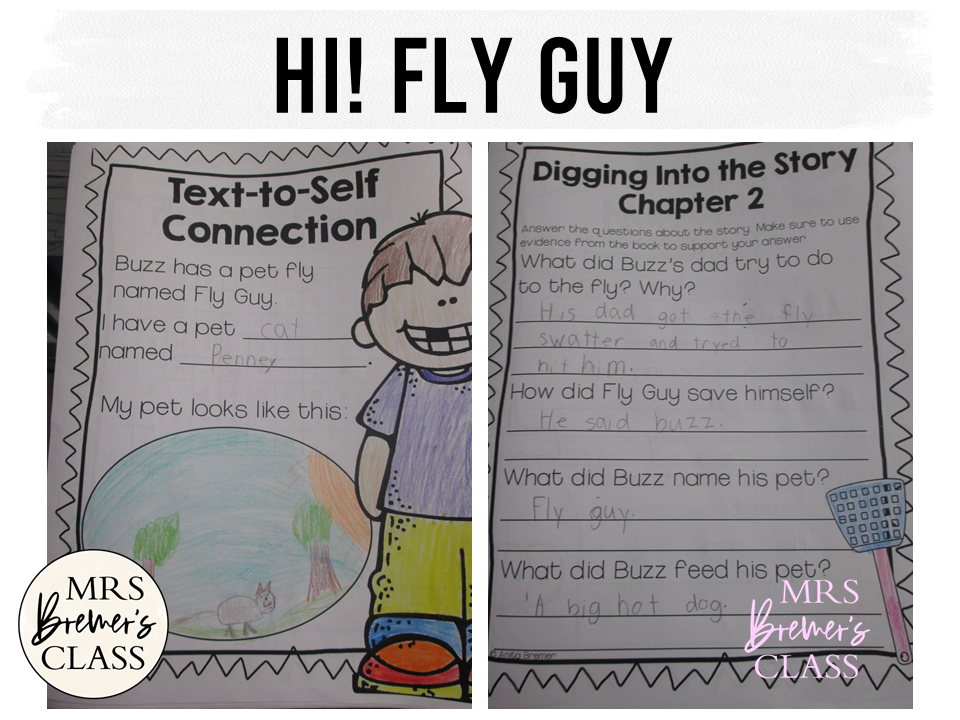 Book Study: Hi! Fly Guy and Paper Bag Book Club | Mrs. Bremer's Class