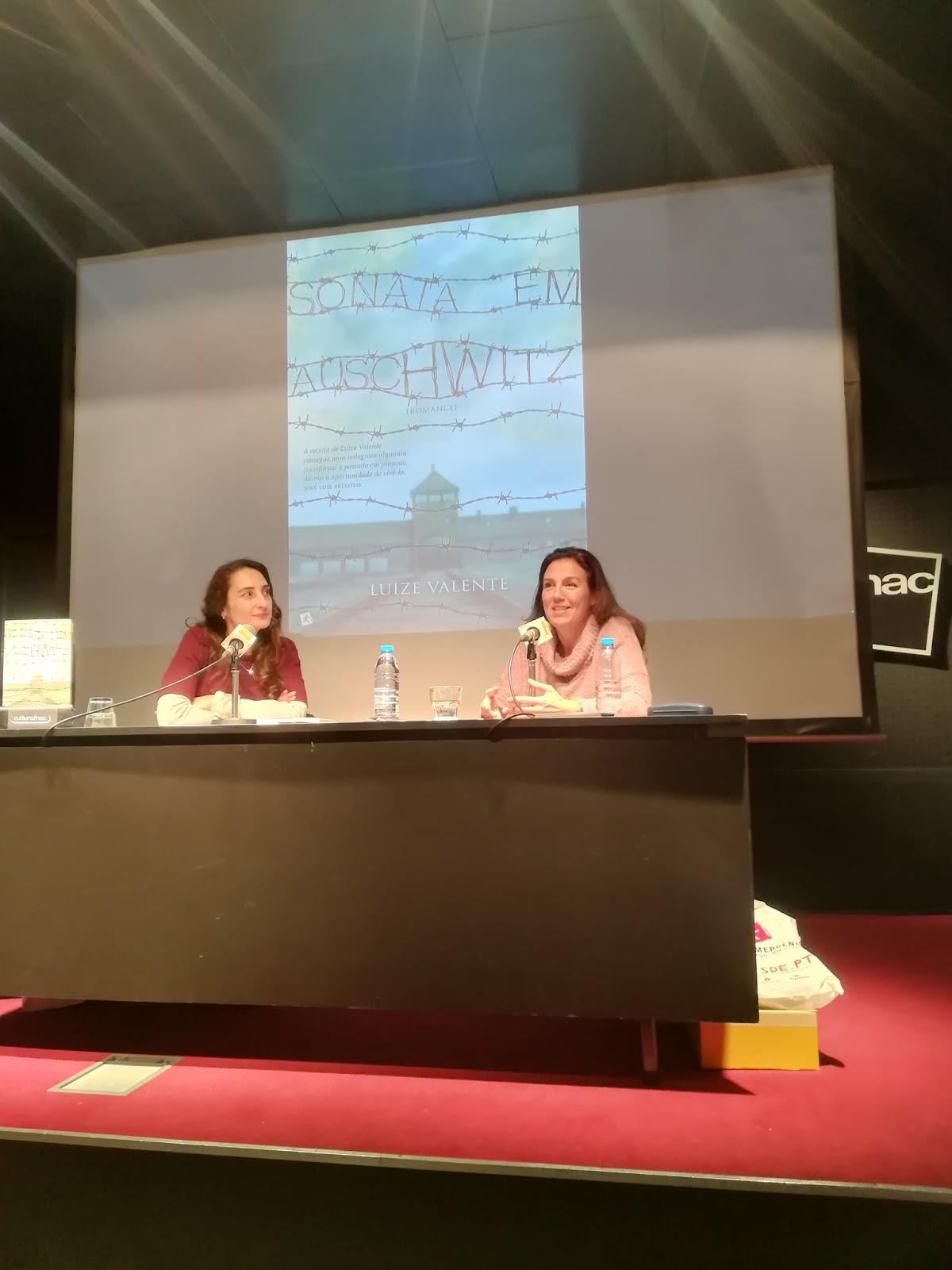 A Biblioteca da João: Lançamentos e apresentações... Luize Valente ...