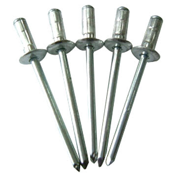 Proper Course: A Love Story