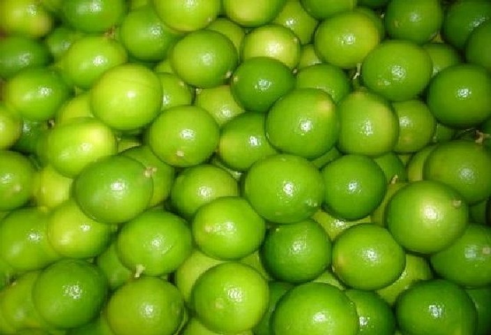 PRANAYAMA NATURALS: Limón