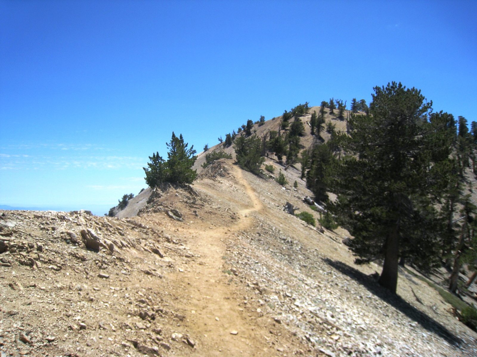 Hiking Mt. Baden-Powell