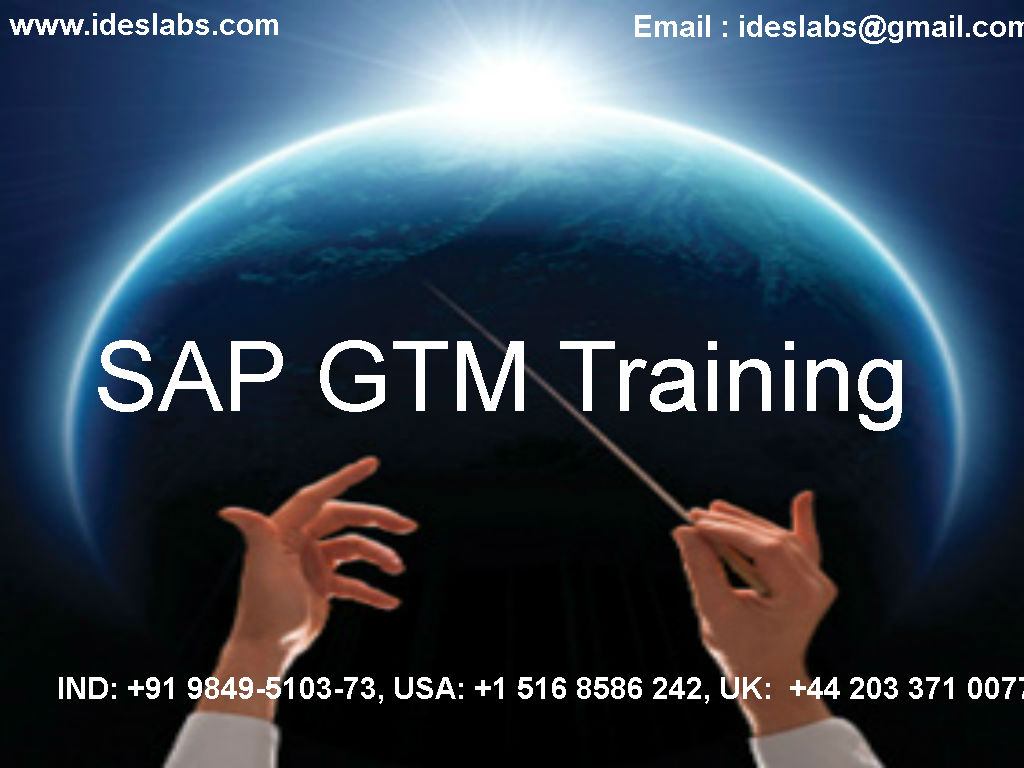 SAP GTM Training