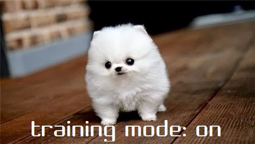 How to train your Pomsky