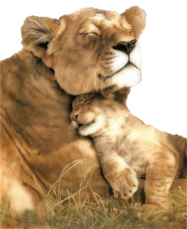 Elisa's Creations.: Leeuwen(19)