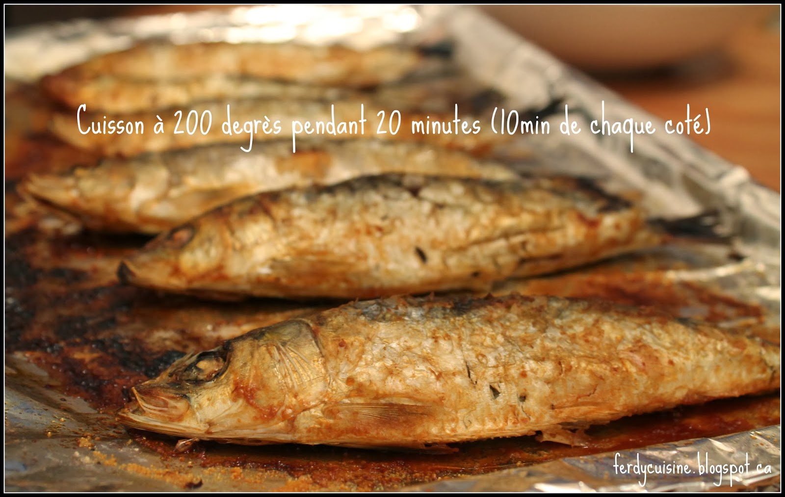 Le blog culinaire d'une débutante: La cuisson des Sardines au four