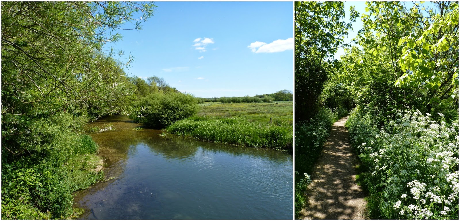 365 Days.: To Lower Bockhampton, Dorset, Great Britain.