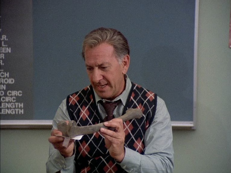 Cult TV Lounge: Quincy M.E. season 2 (1977)