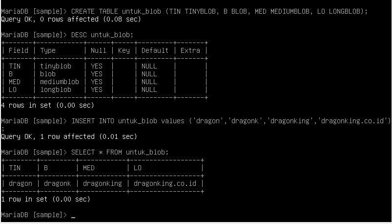 Tipe data String di mysql - Richo yura