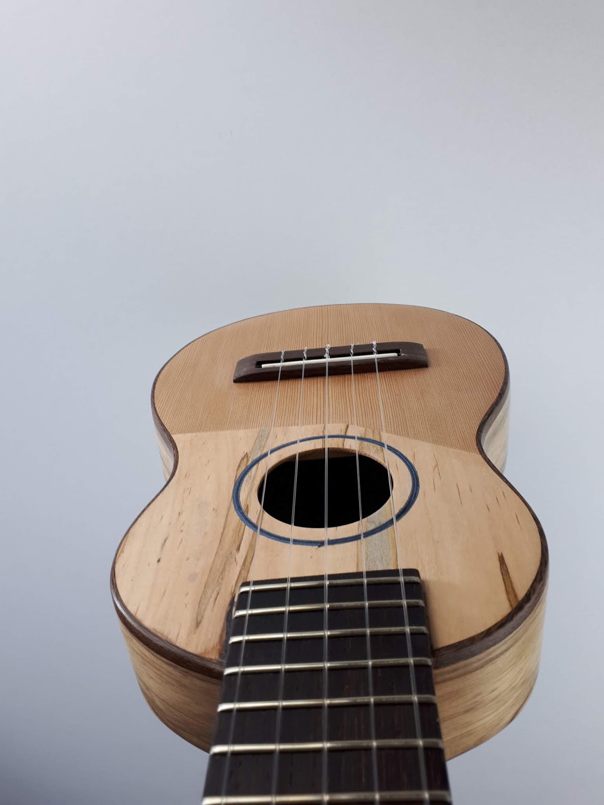 David Sánchez-Luthier: Timples