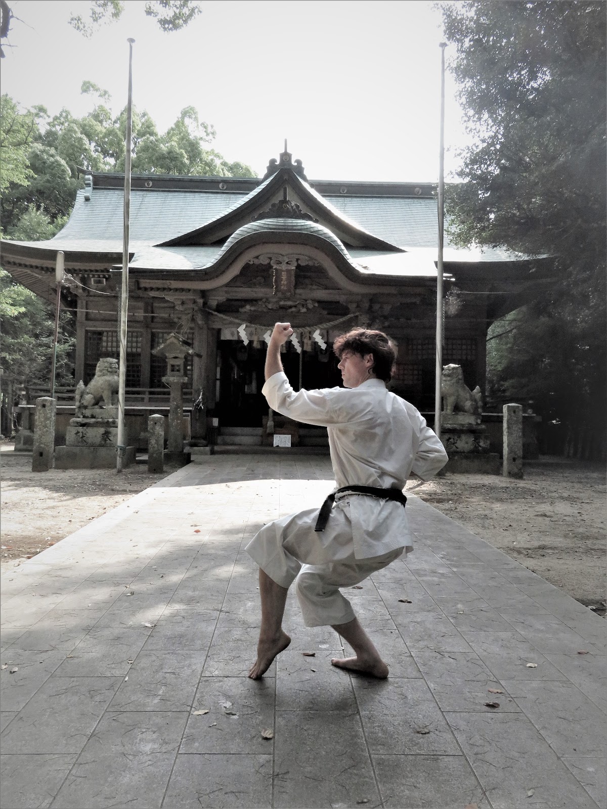 André Bertel's Karate-Do: 龍 虎 鶴 RYU KO KAKU