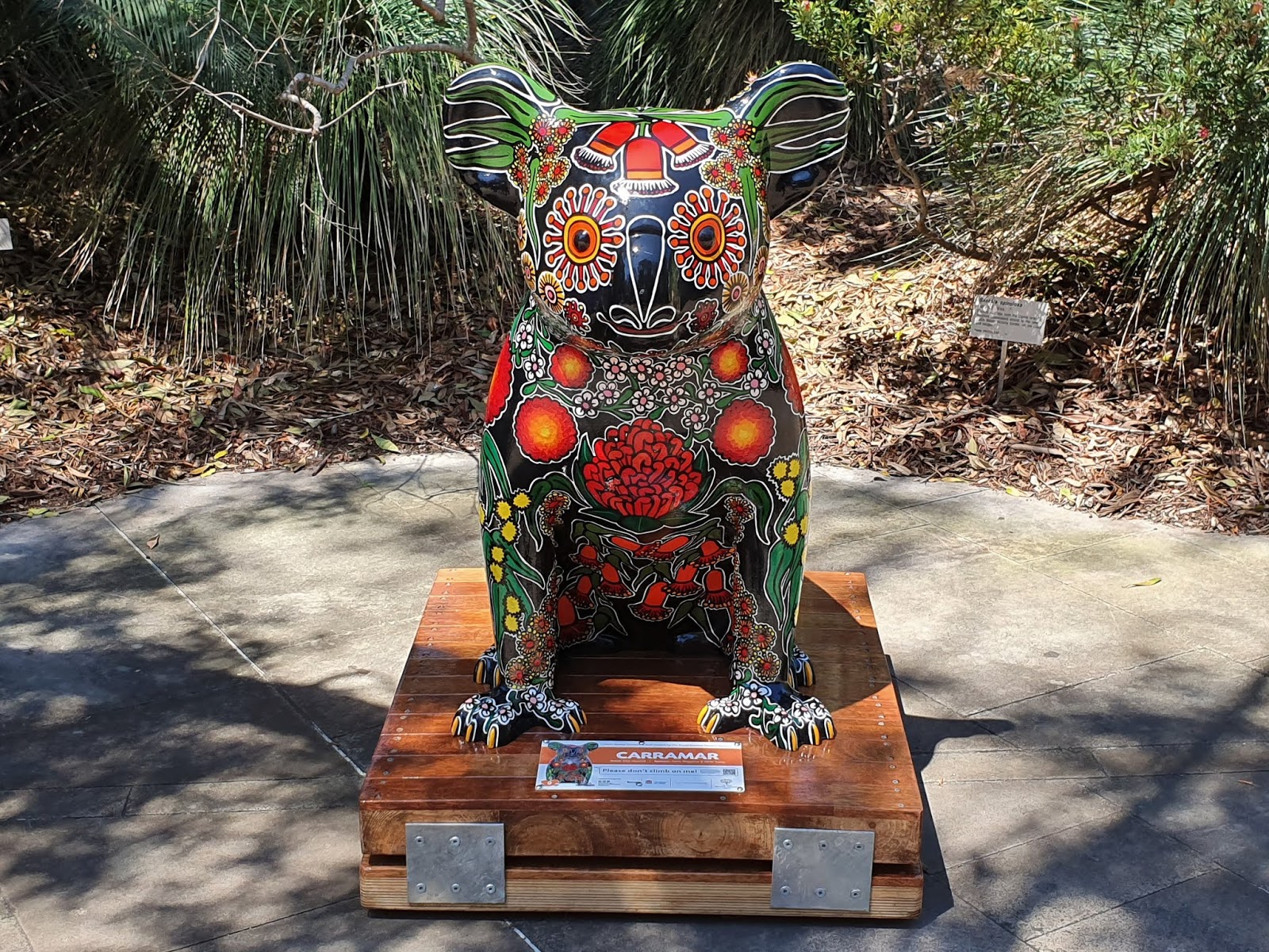 Sydney - City and Suburbs: Royal Botanic Gardens, Hello Koalas ...