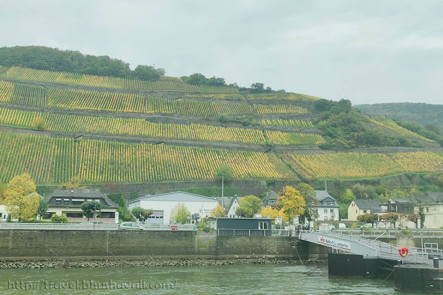 Ultimate Guide to Upper Middle Rhine Valley (RLP - Germany) | My ...