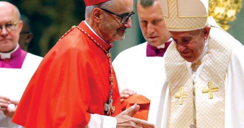 island life- in a monastery: A RARE CARDINAL