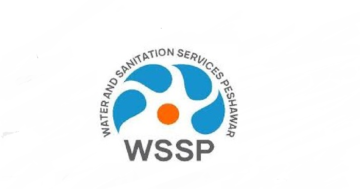 WSSP Jobs 2021 Download Job Application Form :- https://wssp.gkp.pk/en ...