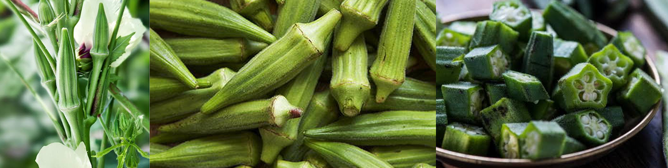 OKRA