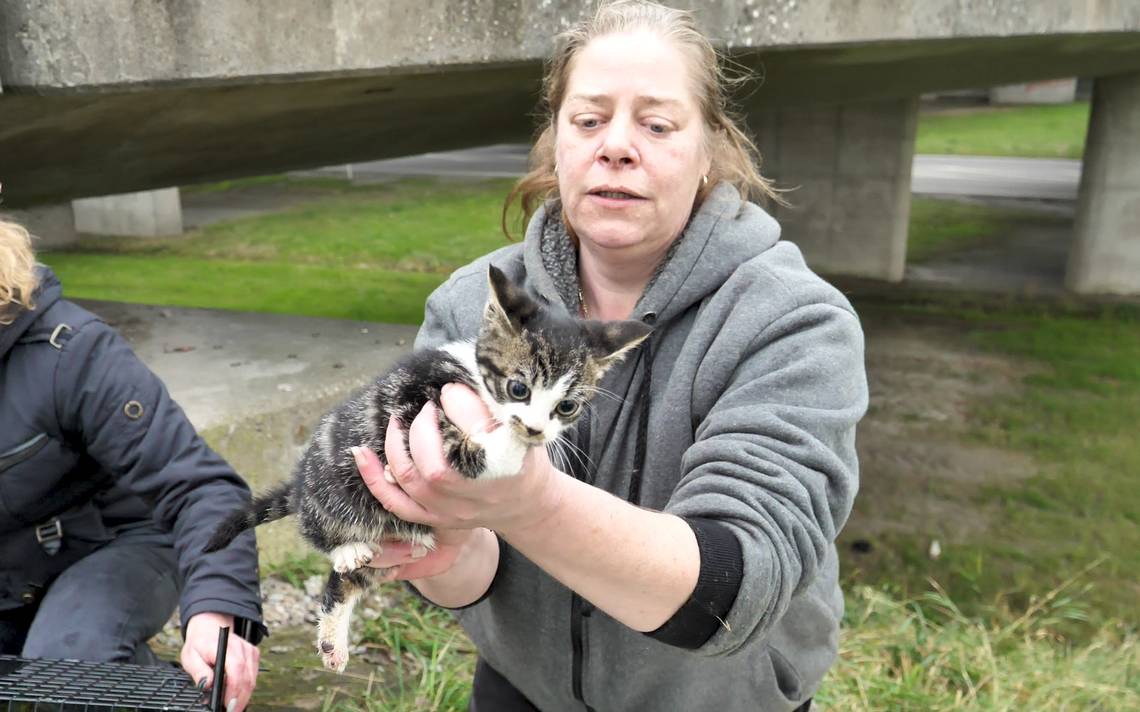 Voordierenblogger: Een moeilijk geval zegt de dierenambulance Dier in ...