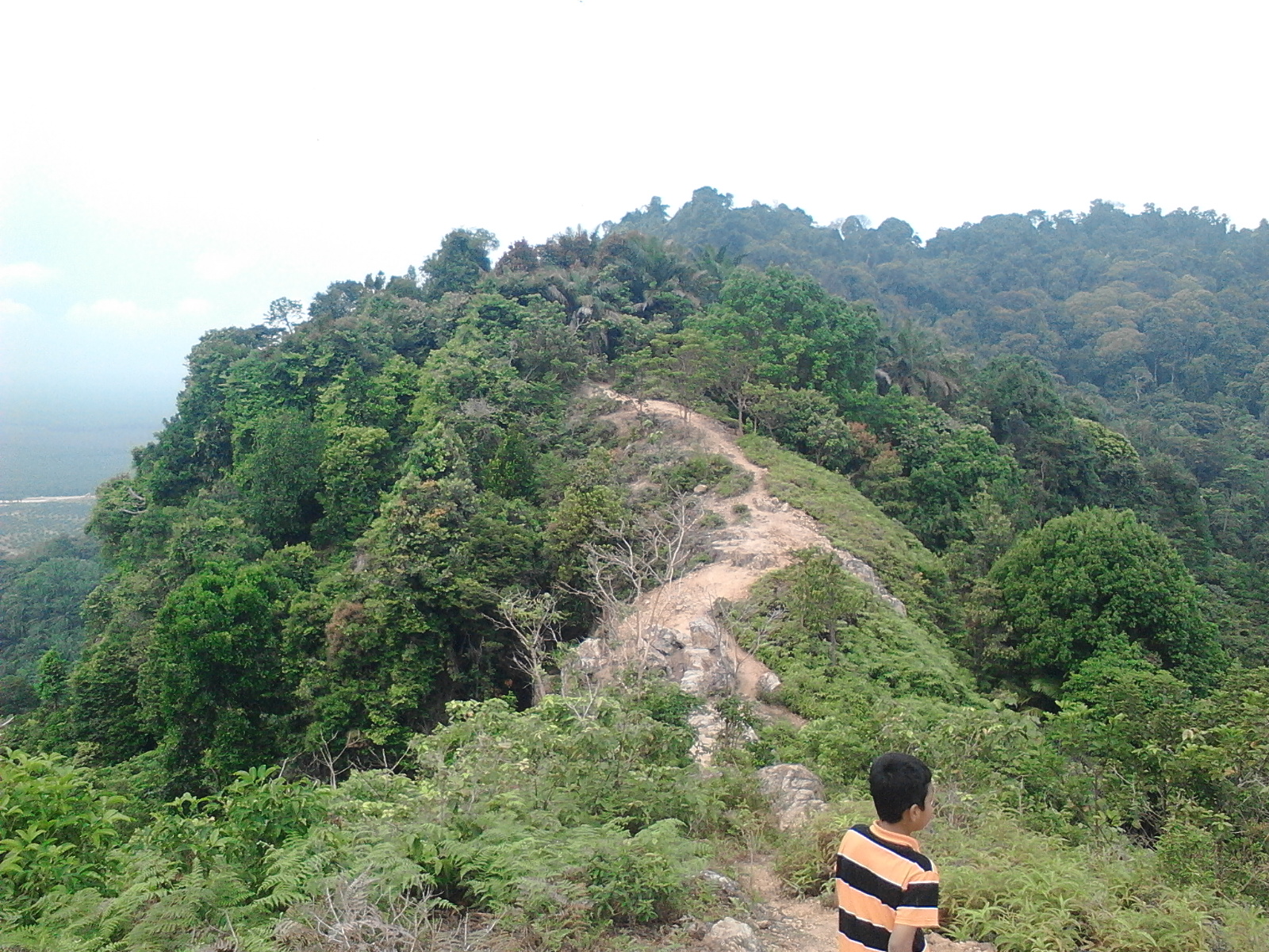 Rainforest Tracker's: #Bukit Botak Puncak Alam aka Bukit Cherakah