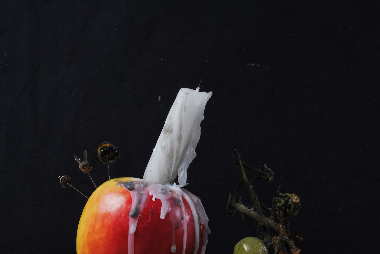 Weird and Wonderful - Jessica Saunders: Still Life