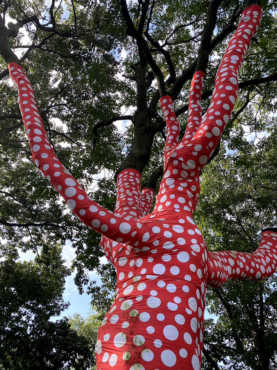 forms traced by light: Yayoi Kusama and the Botanical Gardens