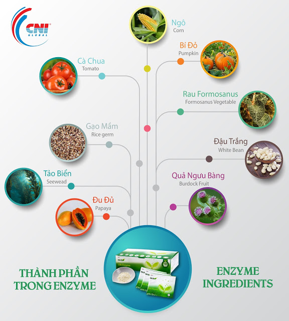 Well 3 Life Enzyme- Bổ sung Enzym tăng cường sức đề kháng cơ thể : Well ...