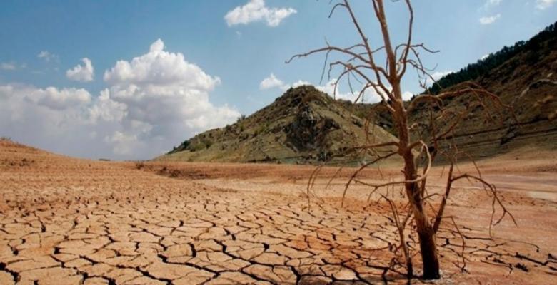 IMPACTO AMBIENTAL: ¿CUÁLES SON LOS TIPOS DE IMPACTOS AMBIENTALES?