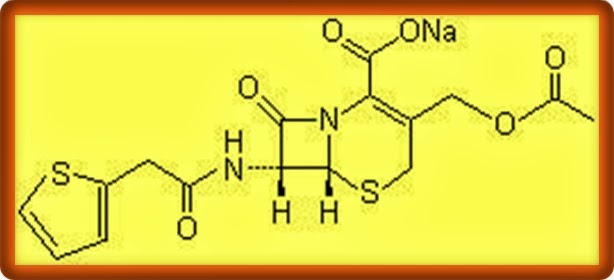 FARMÁCIA BRASILEIRA: ANTI-INFECTANTES ANTIBACTERIANOS - CEFALOSPORINAS