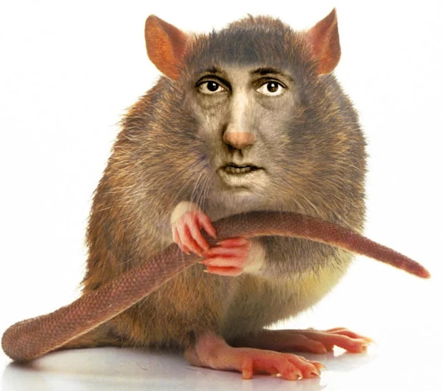 Lone Star Parson: CAPITOL HILL RATFEST