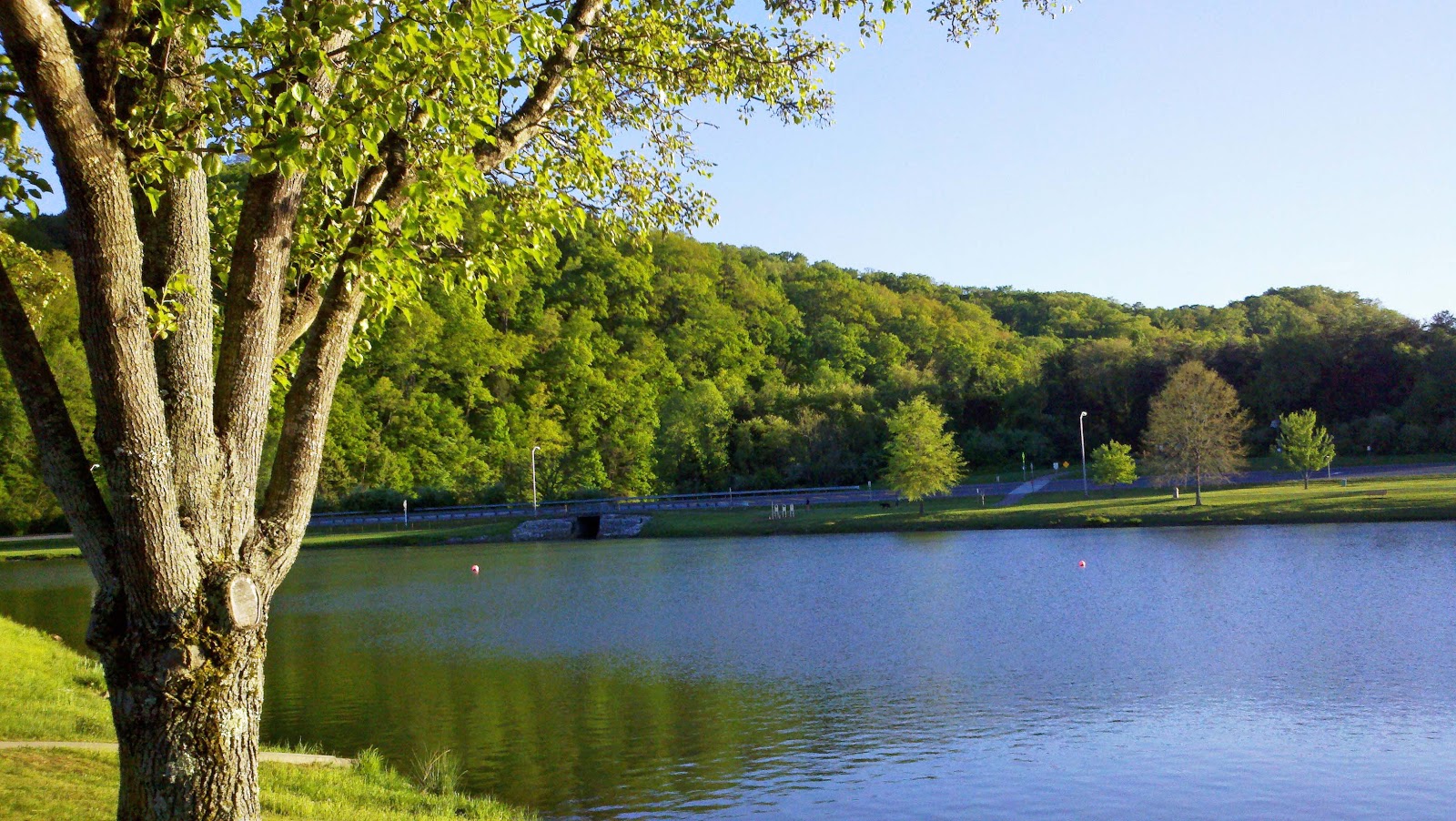 Haw Ridge Park Trek | Travel Quest - US Road Trip and Travel Destinations