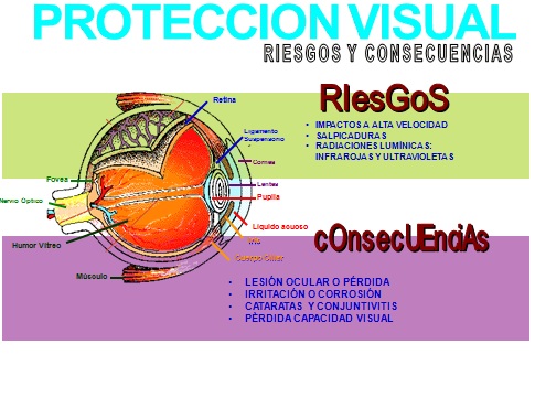 EPP EQUIPOS DE PROTECCION PERSONAL: Protección Visual