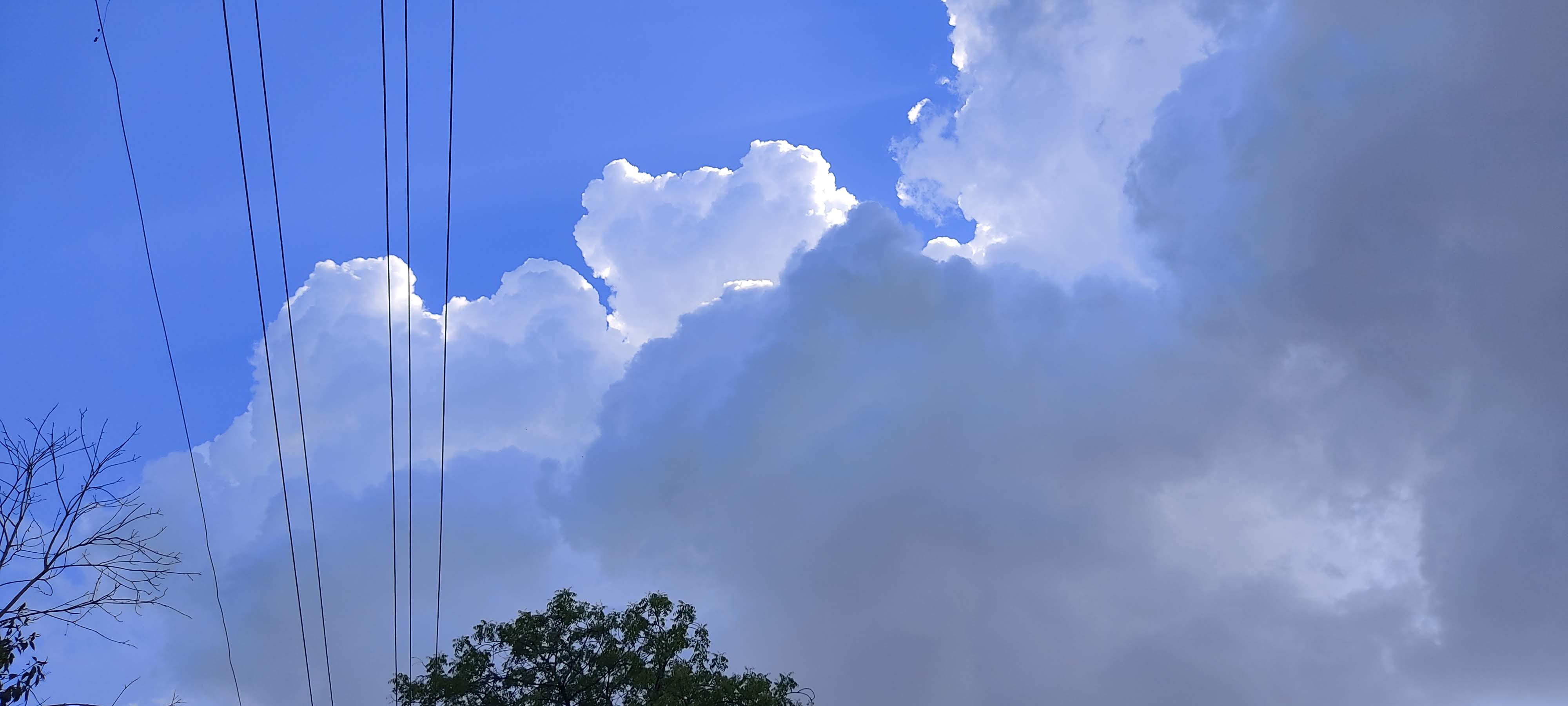 Abhinay Renny: Short Story- Berry by Langston Hughes