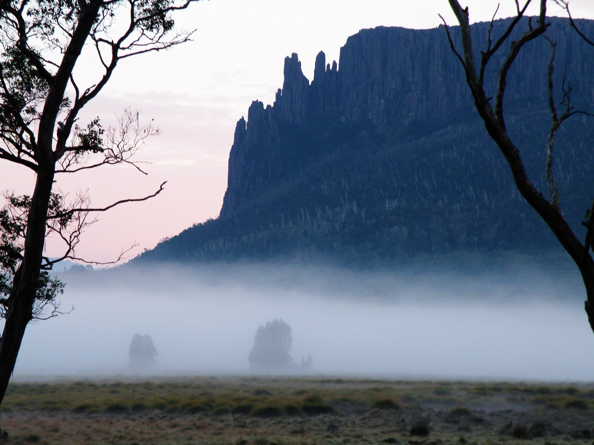 Goin' Feral One Day At A Time: Pelion Hut to Windy Ridge Hut, Overland ...