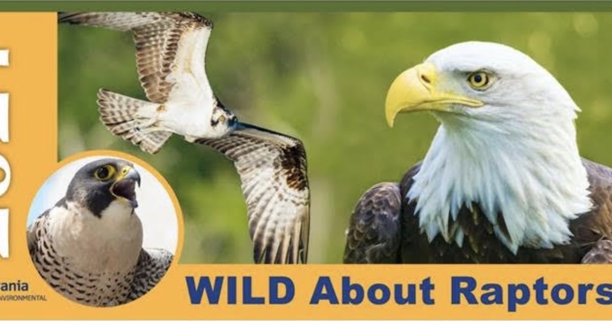 PA Environment Digest Blog: Hawk Mountain Sanctuary, Partners Host ...