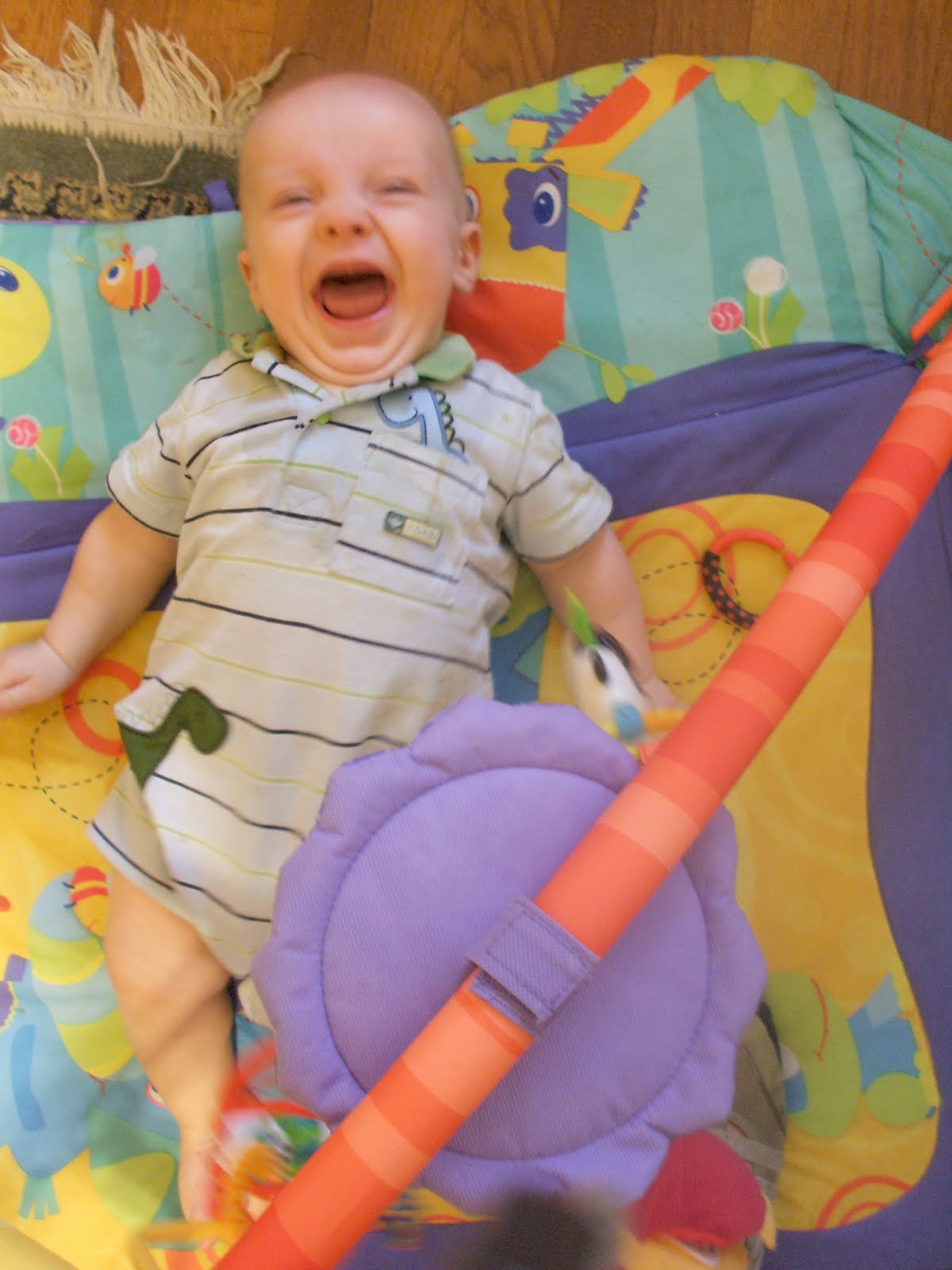 The Curious Lives of Two Completely Normal People