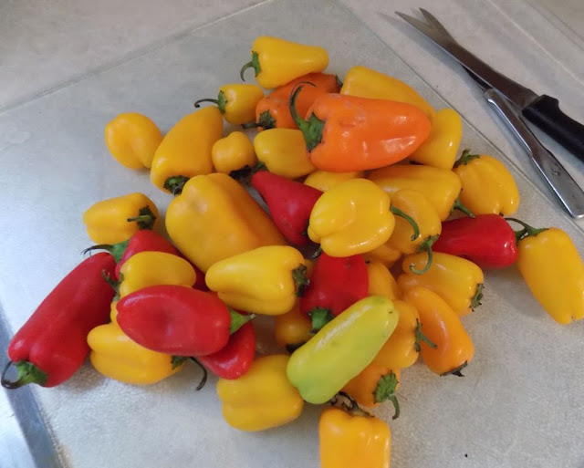 The Quiet Life: Food Prep Nov 10-15: Peppers, peppers, peppers, and soup