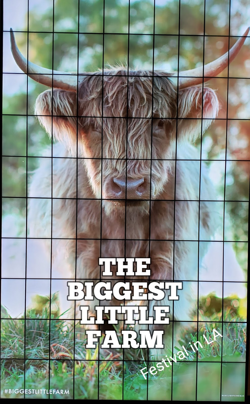Festival In LA: The Biggest Little Farm: Transforms Land Into a ...