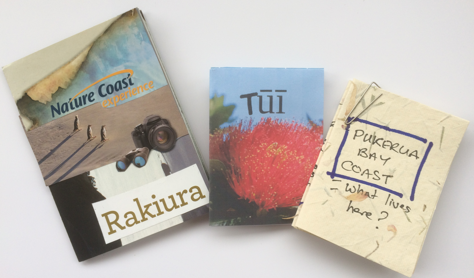 Explore and Discover Nature: Nature Kids - Making Zines to Spread the Word