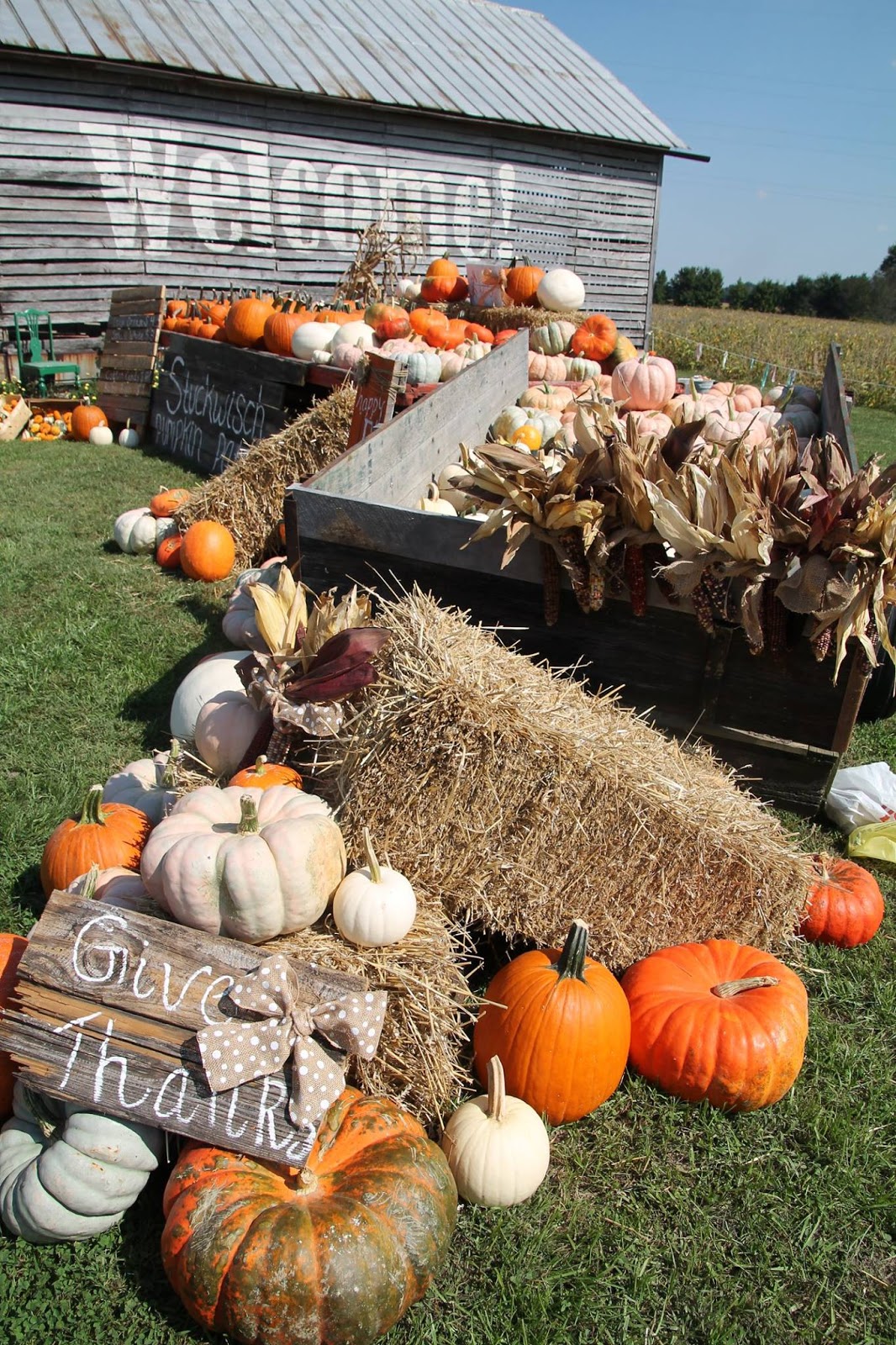 Hen and Chicks Barn Market
