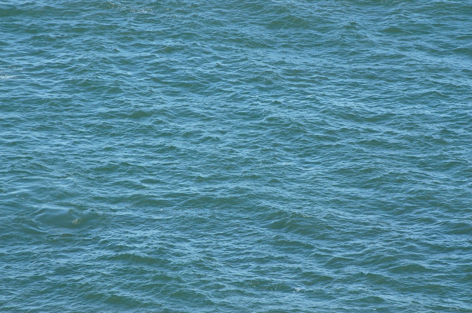 Mar Vieyra: TEXTURAS