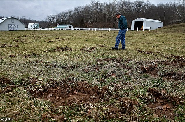 THE WESTERNER: America is facing 'time-bomb' explosion of millions of ...