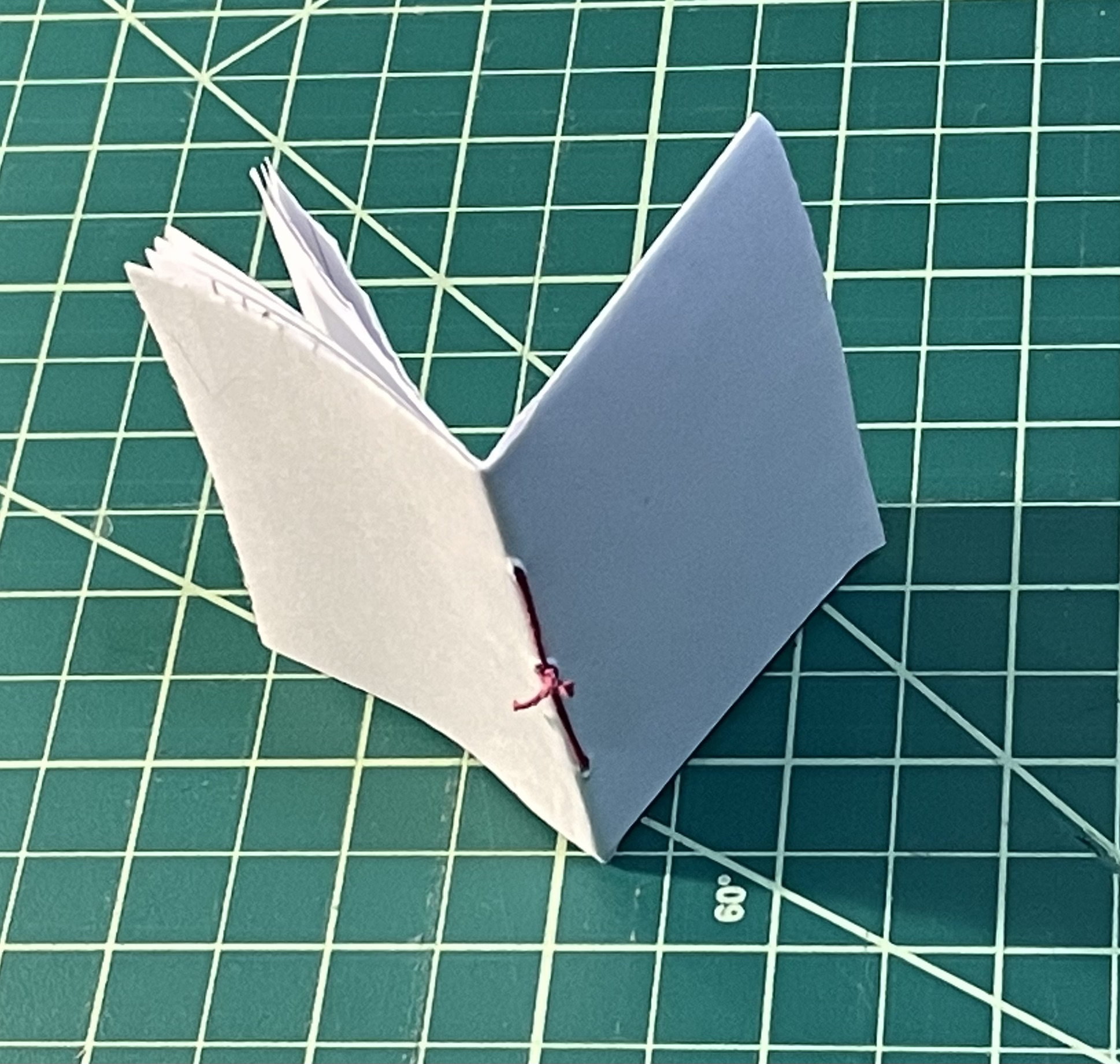 Cutting and Tearing Paper and the Binder's Fold