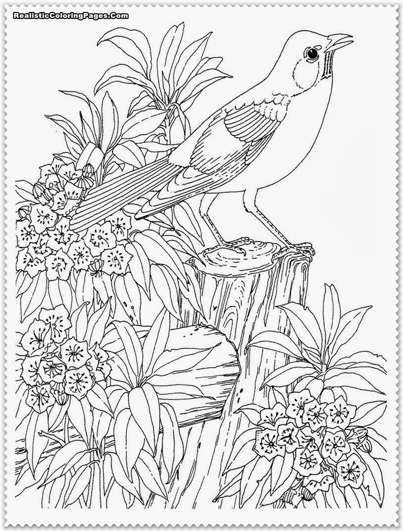 Realistic Coloring Pages ~ Coloring Print