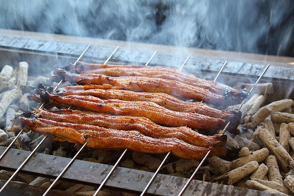 TomoChan Store: Eel fish - Unagi