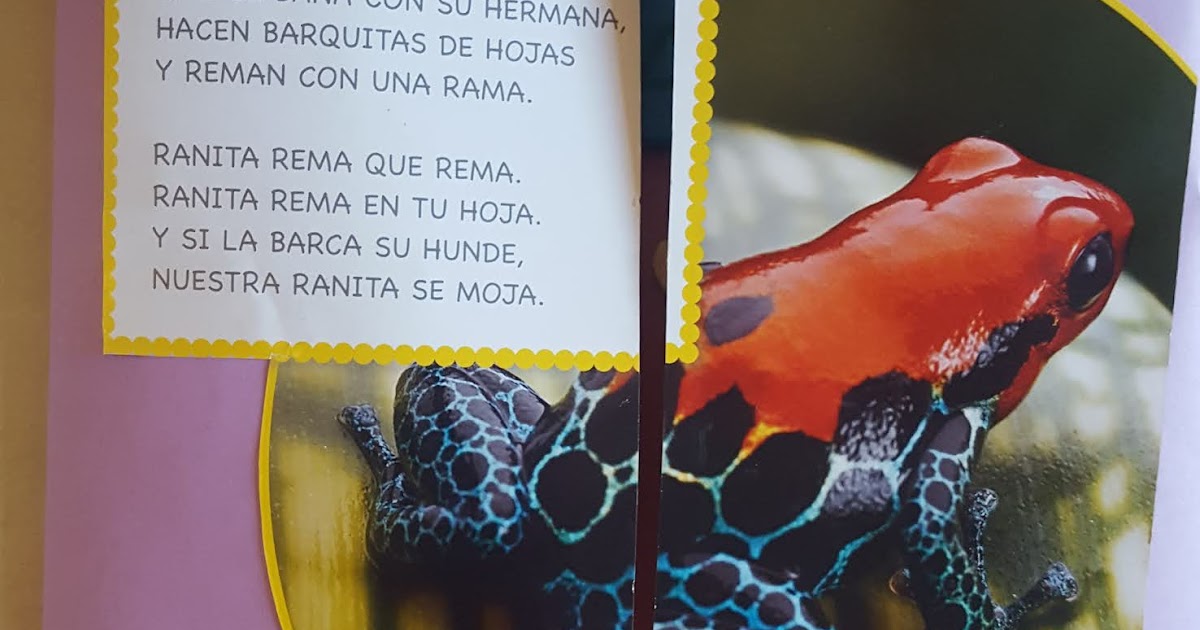 SUSANA Maestra de A.L.: Shoortbook Las RANAS