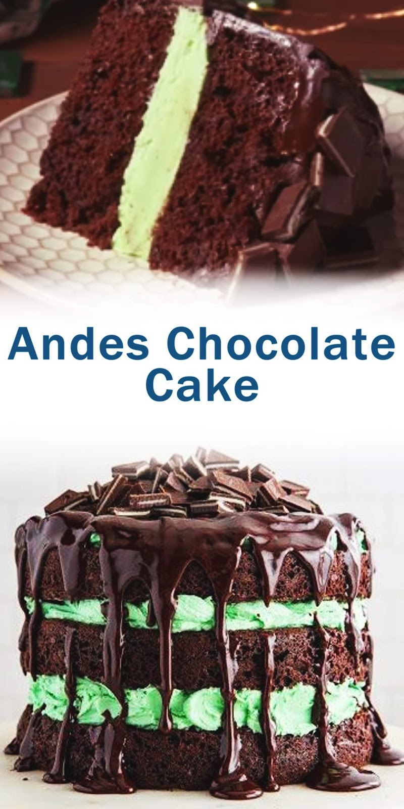 Andes Chocolate Cake - forloverecipes2