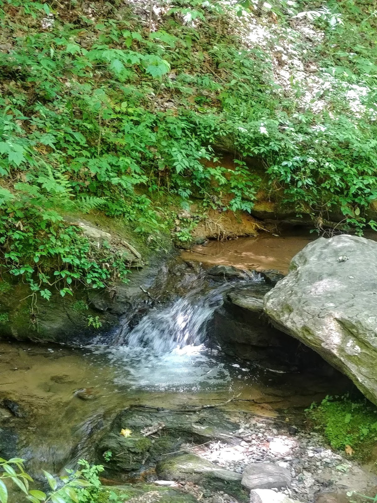Another Mile Another Destination Blog: Issaqueena Falls, Walhalla ...